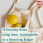 10 Everyday Green Living Ideas: Sustainability on a Shoestring Budget ...
