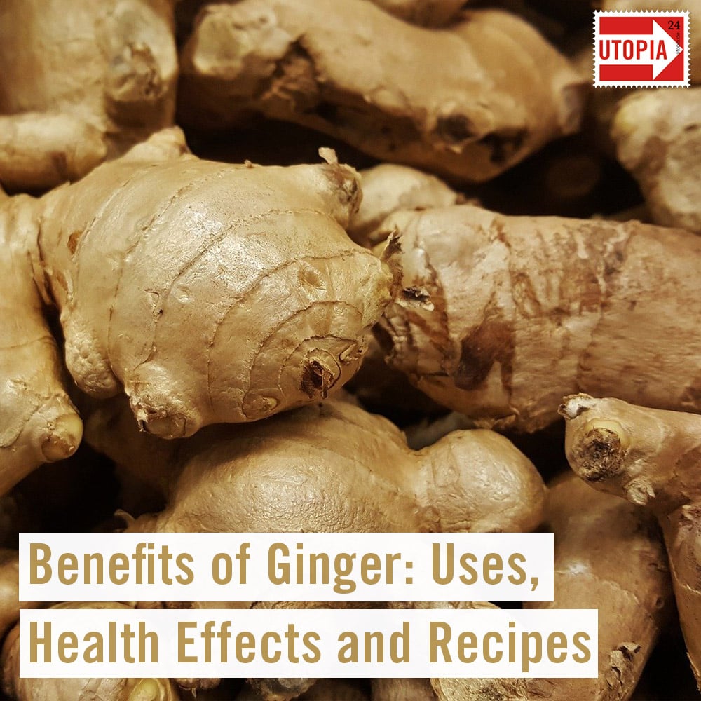 Benefits of Ginger: Uses, Health Effects and Recipes - Utopia