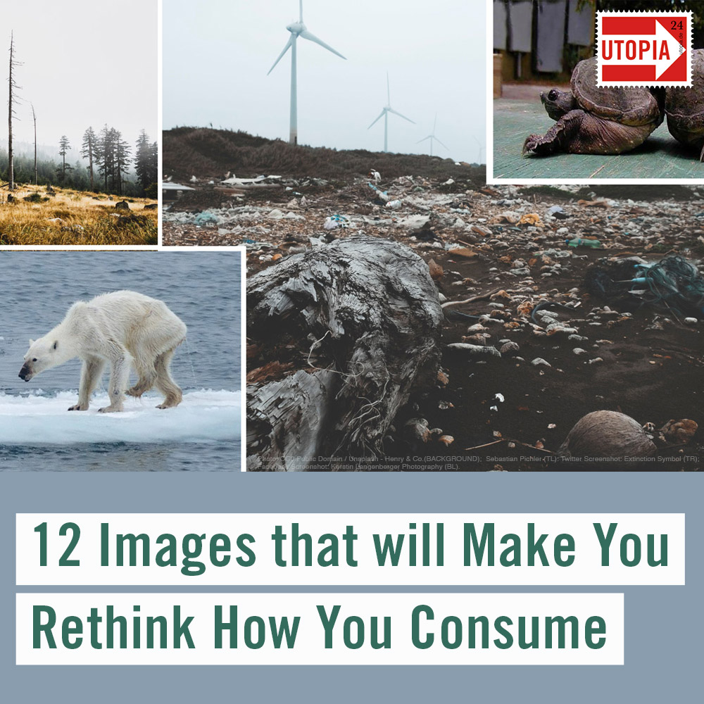 Save the Rainforest: 7 Things You Can Do - Utopia