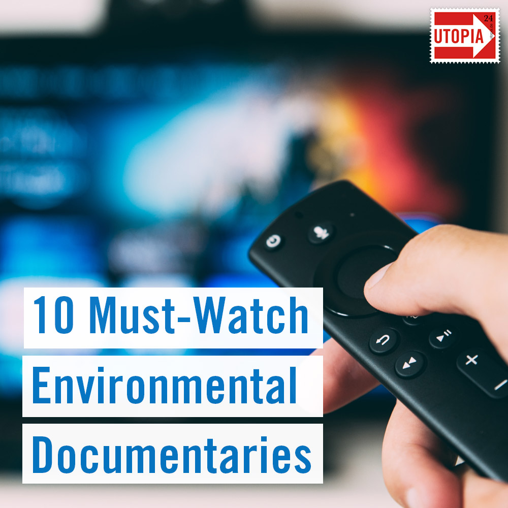 Human Environment Interaction: Definition & Examples - Utopia