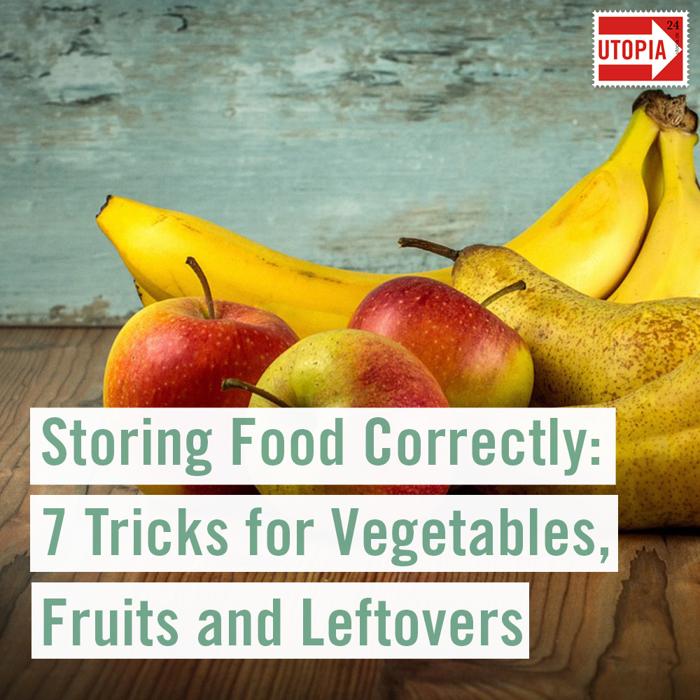 Storing Food Correctly: 7 Tricks for Vegetables, Fruits and Leftovers