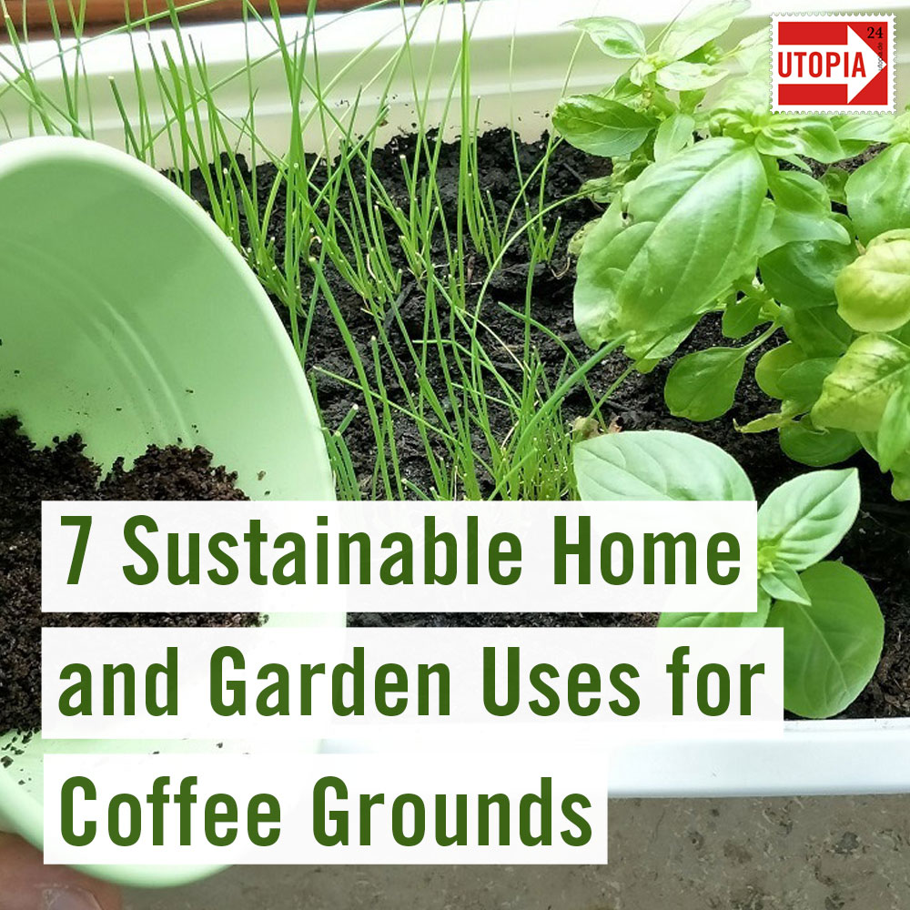 7 Surprising Coffee Grounds Uses in your Home and Garden