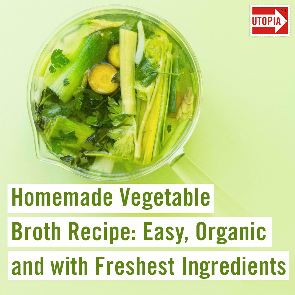 Homemade Vegetable Broth Recipe - Easy, Organic and Fresh