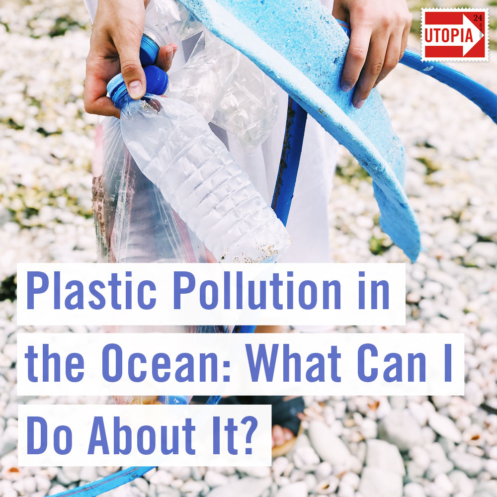 Plastiglomerate: Plastic Rocks Are a Horrible New Type of Pollution ...