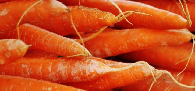How to Store Carrots: 3 Easy Ways to Keep Them Fresh for Longer - Utopia