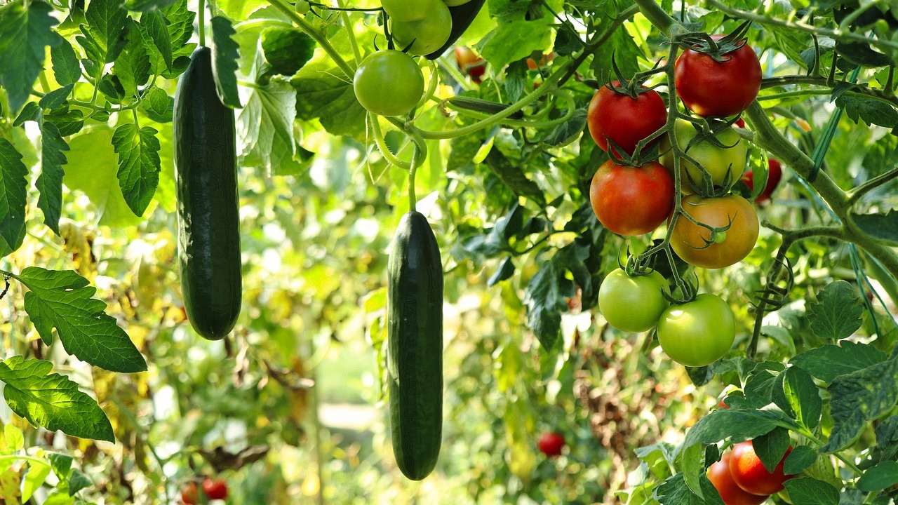 The 10 Easiest Vegetables to Grow at Home - Utopia