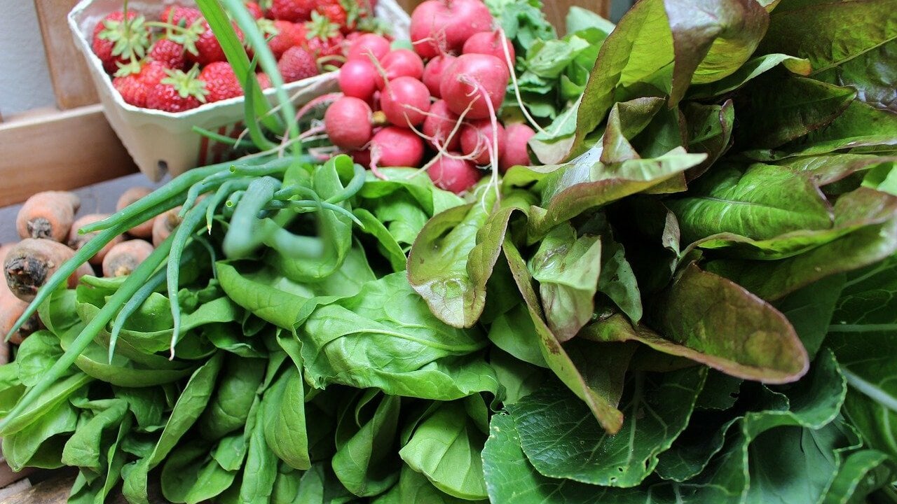 What Are CSA Farms? A Guide to Community Supported Agriculture - Utopia