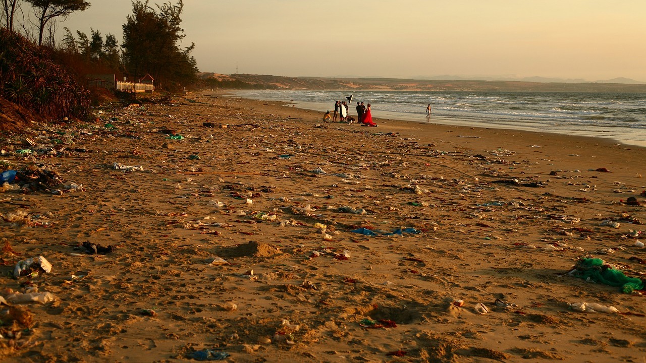 Plastitar: A New Type of Pollution, Thanks to Oil Spills and ...