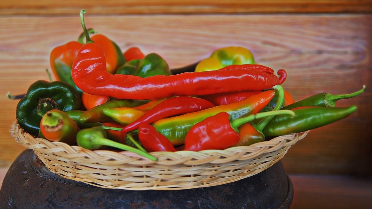 The Big List of Chipotle Vegan Options + What to Order - Utopia