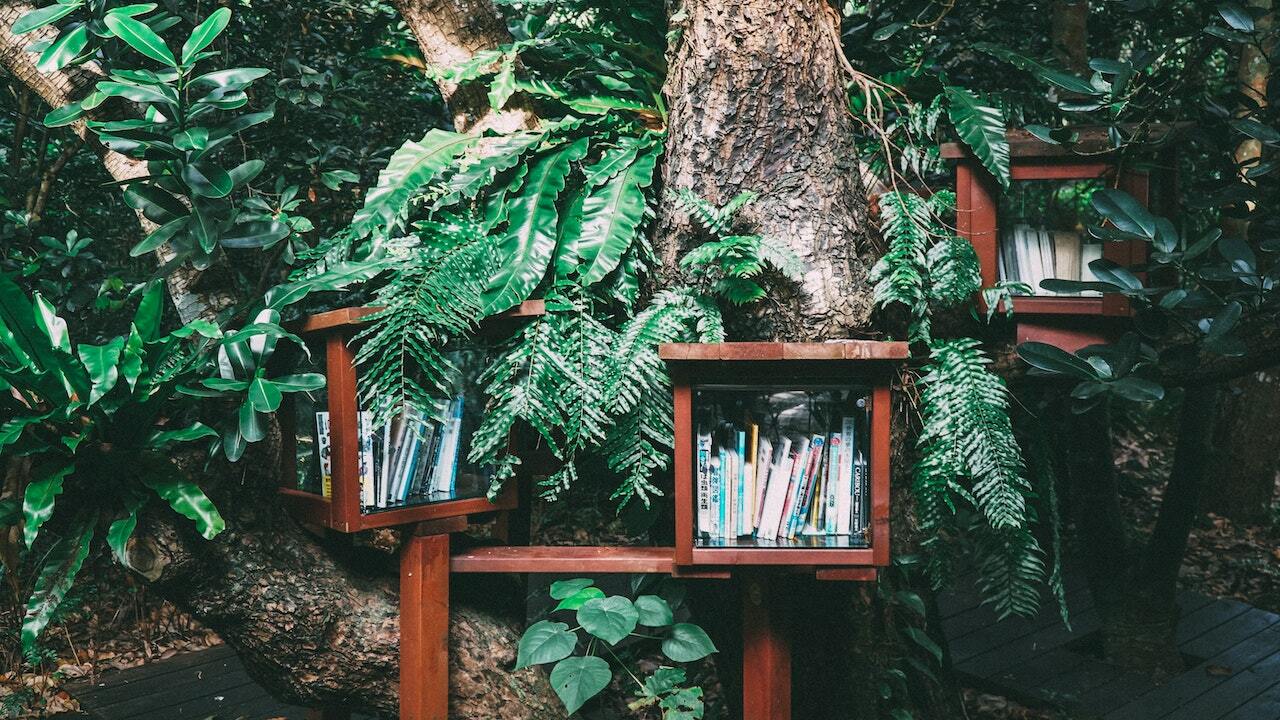 Top 10 Books About Trees You Must Have Read in 2022 - Utopia