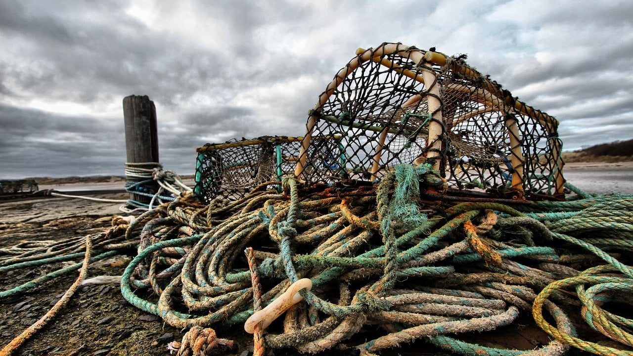 Easy Homemade Old Bay Seasoning - Utopia