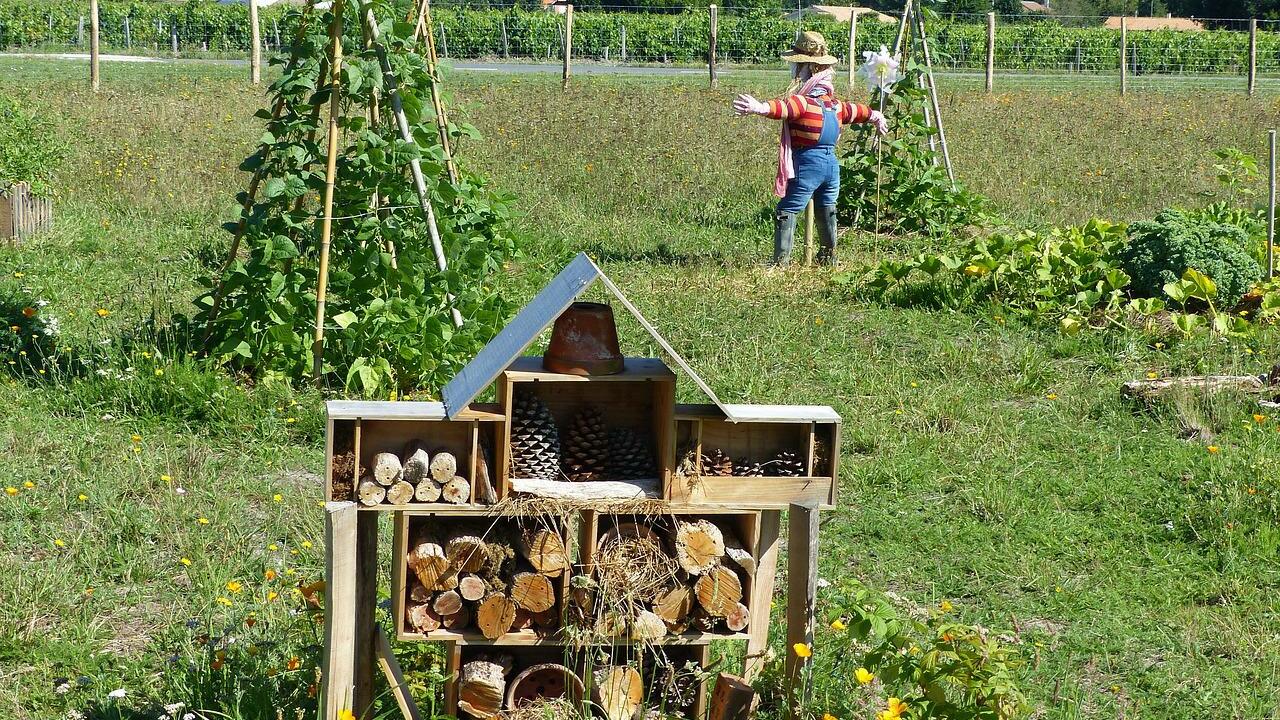 7 Beautiful Permaculture Designs for Your Eco-Friendly Garden