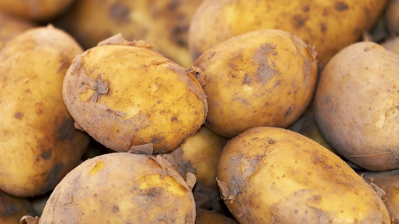 This Is the Best Way to Scrub Potatoes - Utopia