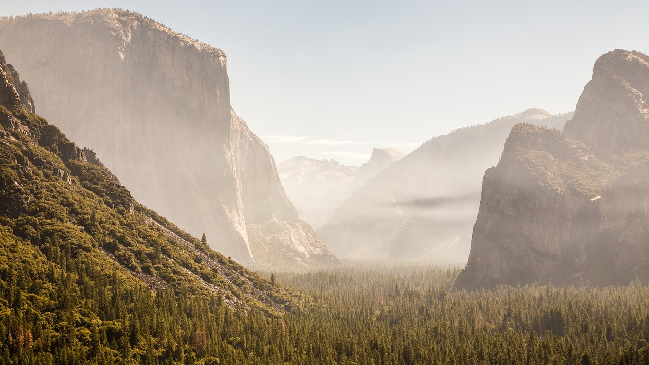 8 Famous Nature Photographers With a Lasting Impact - Utopia