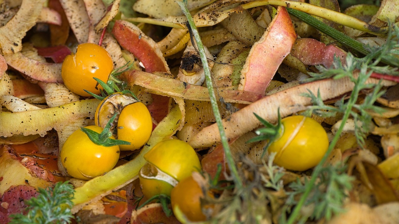 10 Surprising Benefits of Composting - Utopia 10 Surprising Benefits of Composting - Utopia