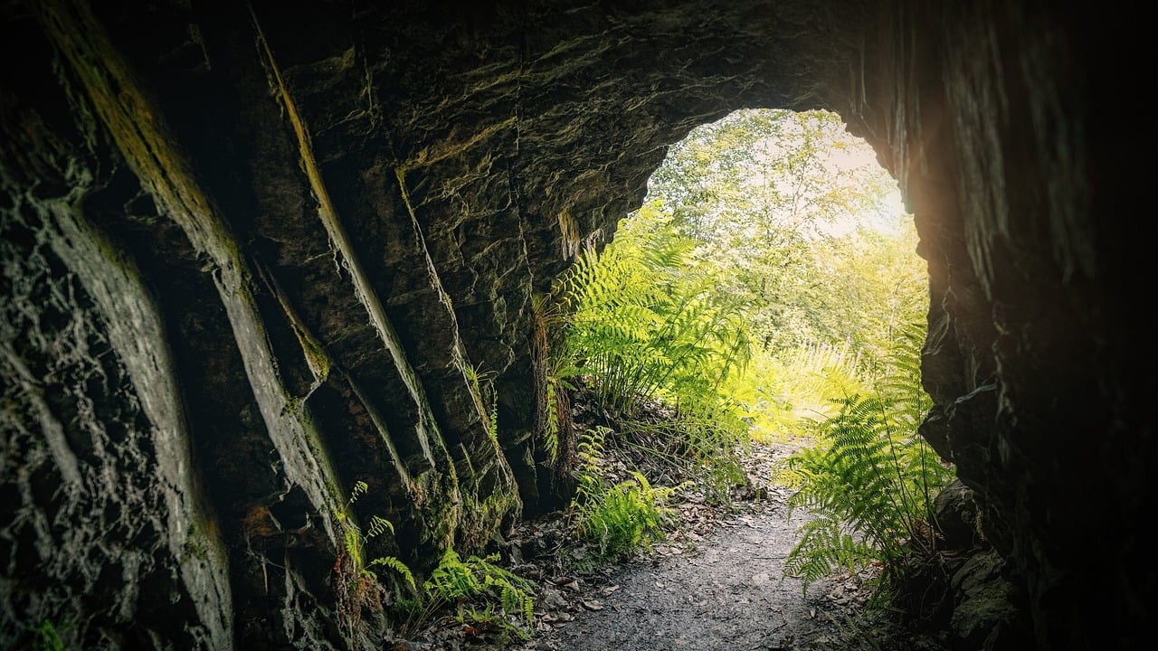 The 11 Best Caves in the US for Waterfalls, Fossils & Wildlife - Utopia