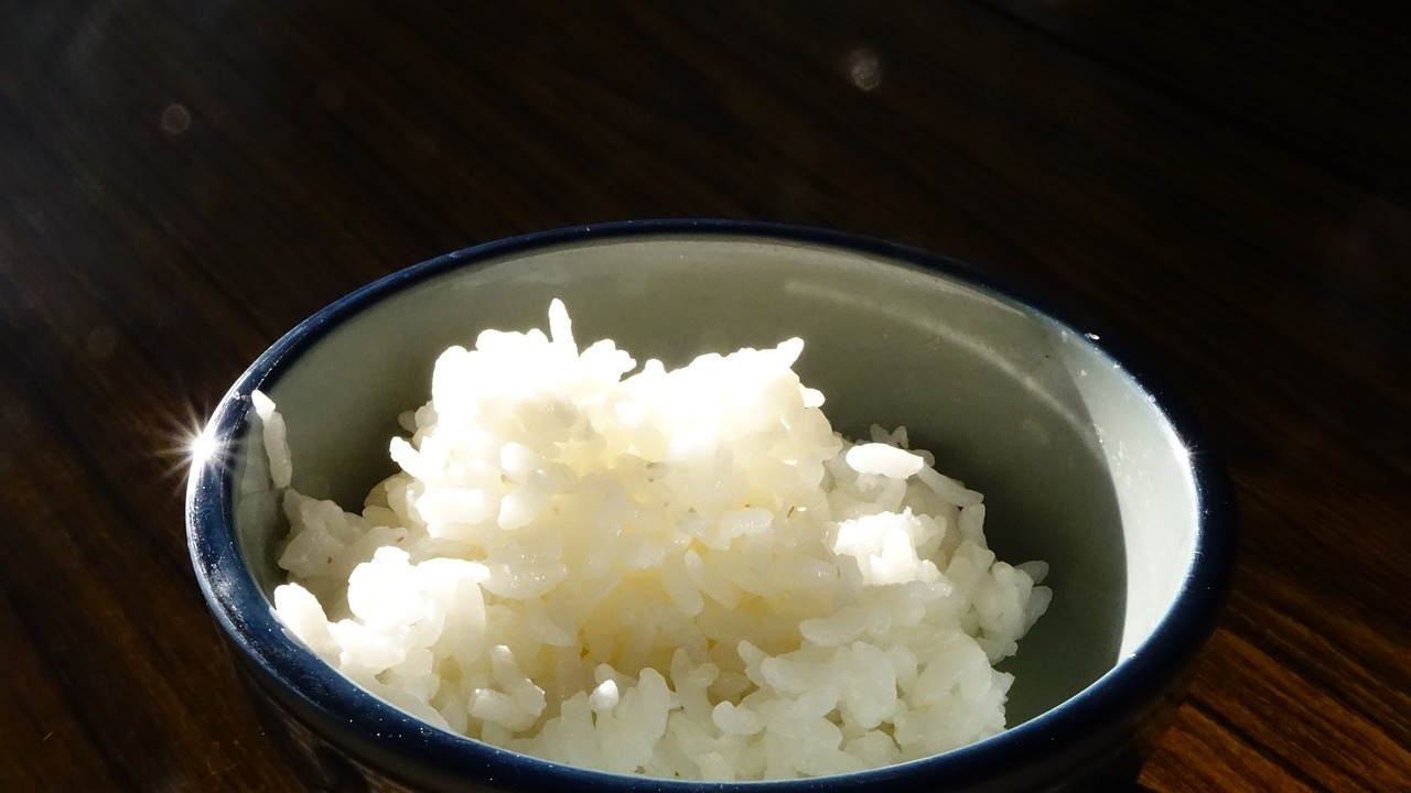 Can You Freeze Cooked Rice? Yes, Here's How - Utopia