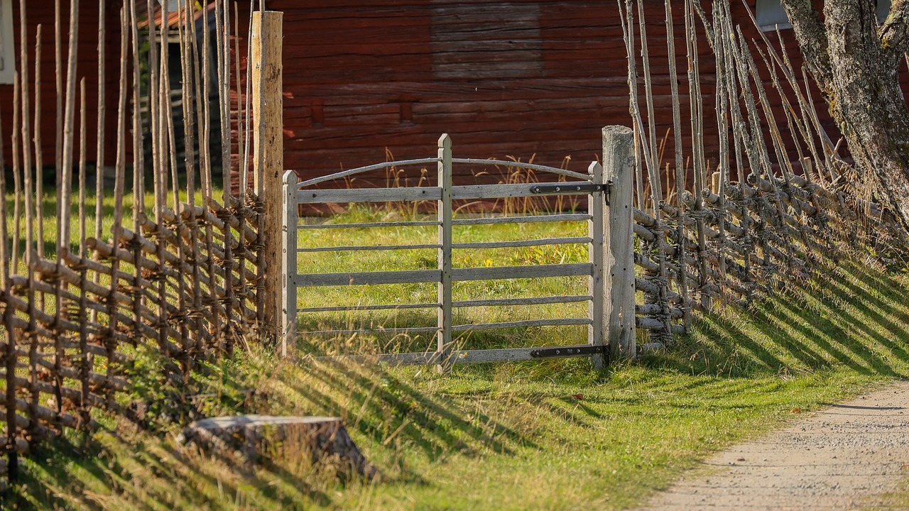 How to Start a Homestead in 5 Steps (10+ Months) - Utopia