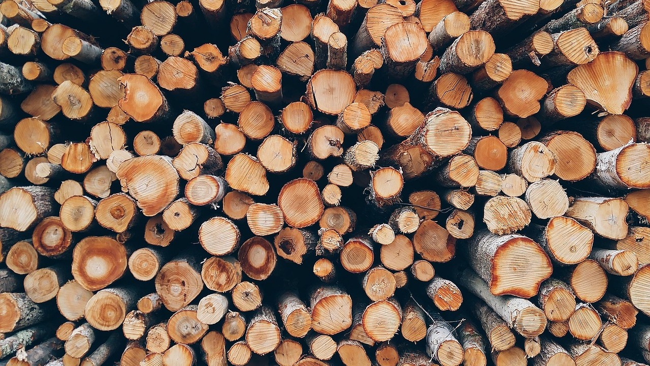 Treated vs. Untreated Wood: What's More Eco-Friendly? - Utopia